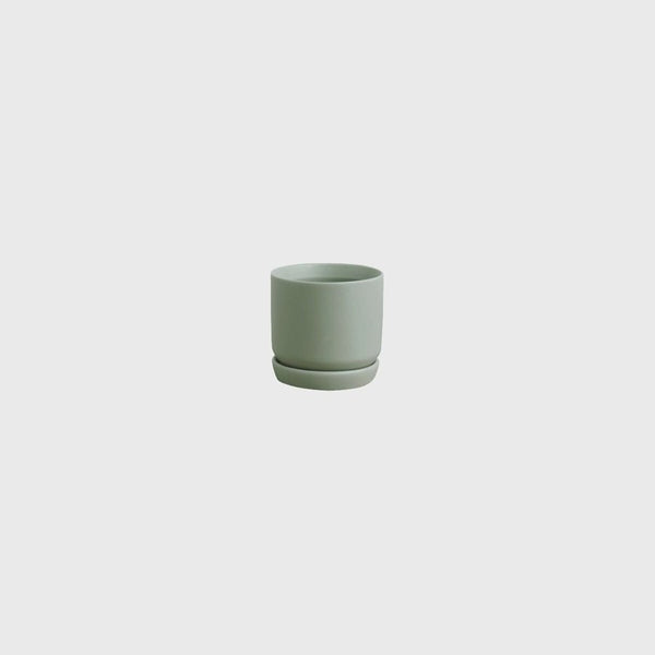 Mini Oslo Planter - Assorted – POTPLANT STUDIO